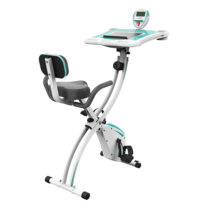 HARISON Superbike B9 Home Upright Exercise Bike | Harison Fitness best ...