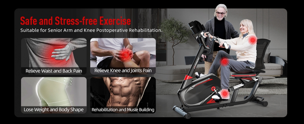 HARISON HR-B8 Re Home Recumbent Exercise Bike with Bluetooth and Arm ...