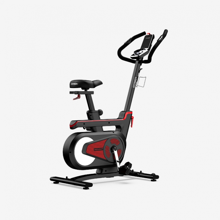 HARISON Omega B300 Exercise Bike