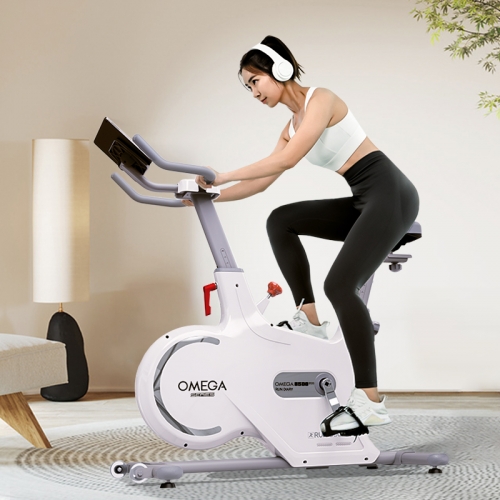 HARISON Omega B500 Eco Home Exercise Bike
