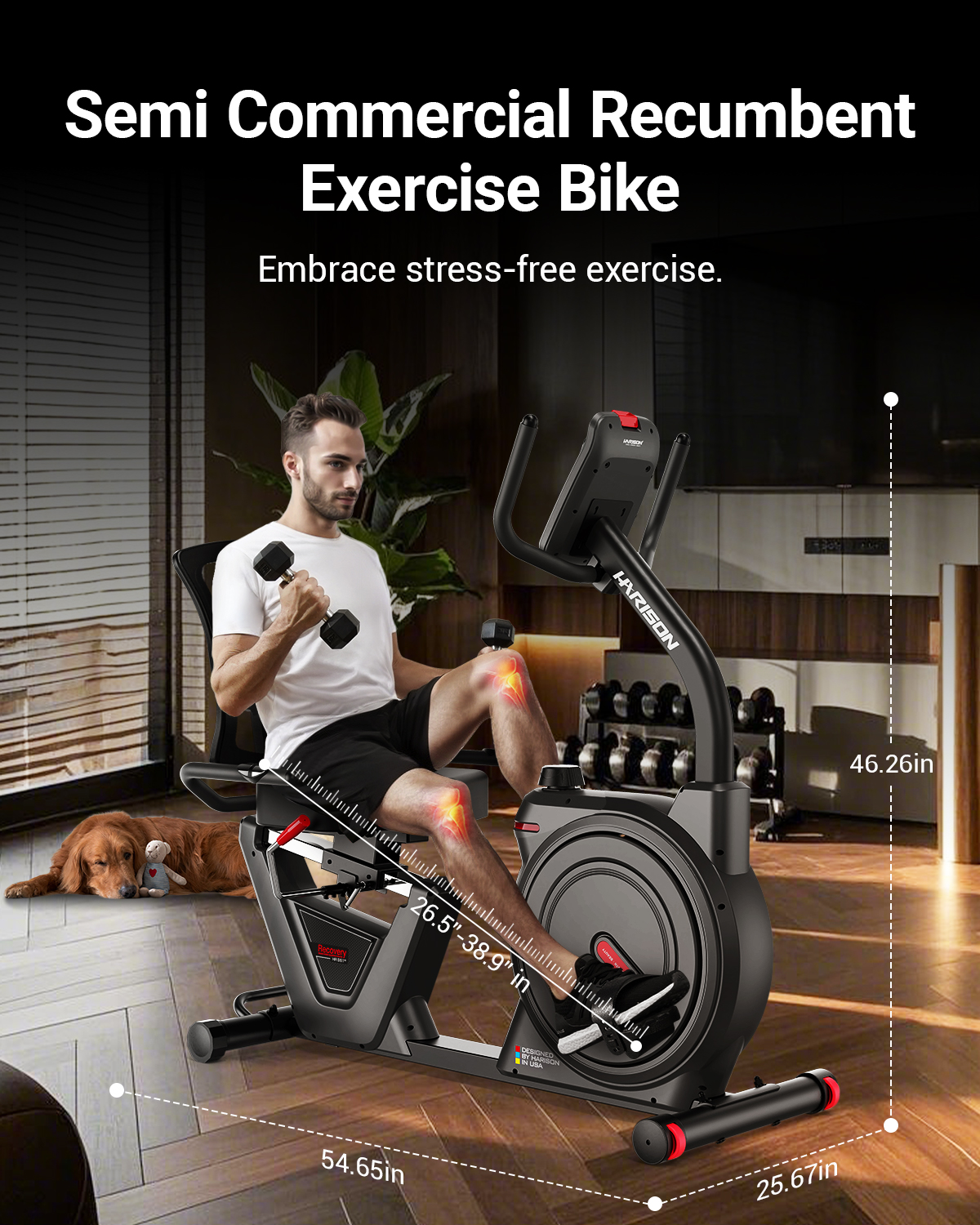 HARISON HR-B51 Tech Recumbent Exercise Bike