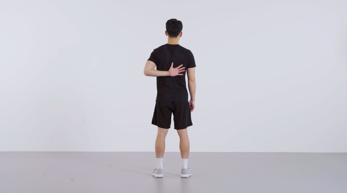 Acromioclavicular joint dislocation, scientific home training to help ...