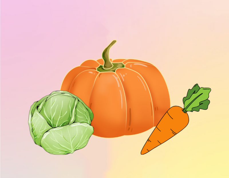 Are overweight individuals more prone to injuries during exercise? Here ...