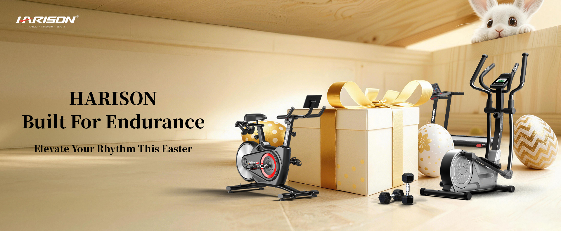 HARISON Easter 2026 | Elevate Your Rhythm | Built For Endurance